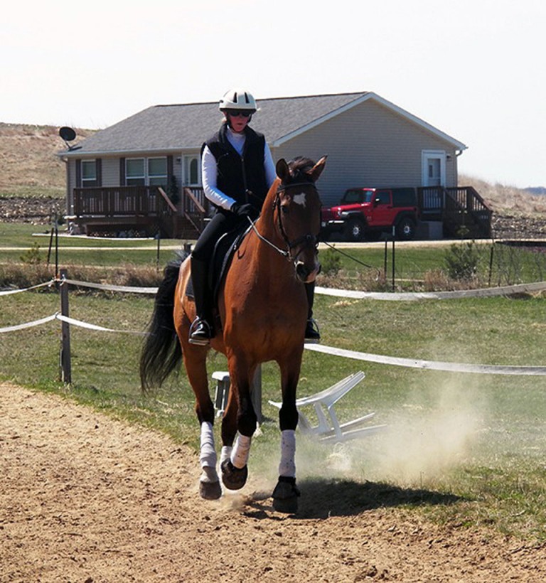 Services – Dressage in Wisconsin